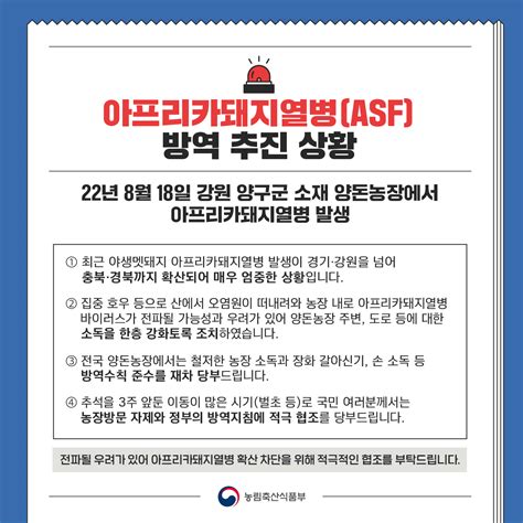대한민국 농림축산식품부 🚨아프리카돼지열병asf 방역 추진 상황 22819 강원 양구군