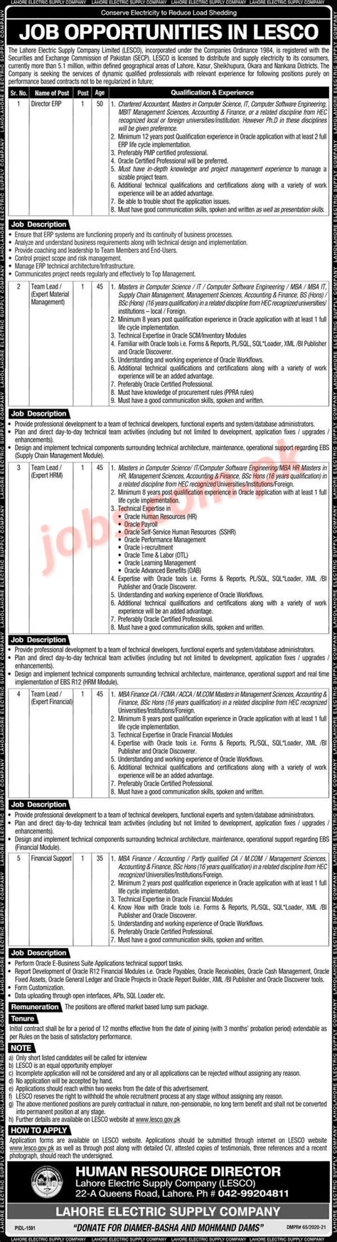 Lesco Jobs 2020 For Director Erp Team Lead And Financial Support