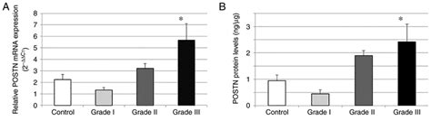 A Mean Postn Gene Expression And B Protein Levels According To