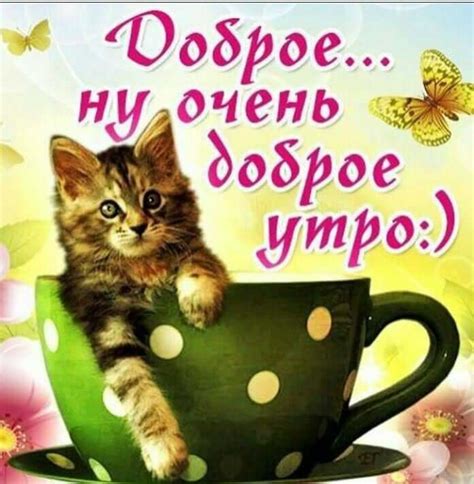 Новые прикольные картинки С Добрым утром