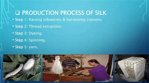 Presentation Of Silk And Ramie Fiber Pptx