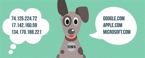 Go Golang Ip Dns Eric Zhou