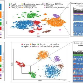 Performance Evaluation And Differential Expression Analysis On Two