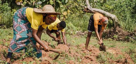 Equal Land Rights For Women In Africa