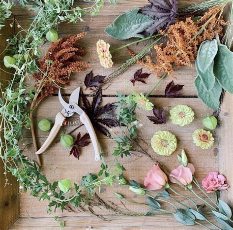 Bb Podcast Ep 106 Amy Dunlap Botanical Brouhaha