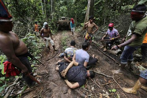 Taking Back The Trees Amazonian Warriors Combat Loggers NBC News