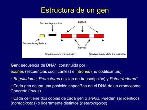 Genetica Molecular Contada A Cirujanos