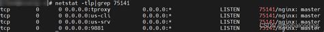 linux 查端口 查进程 netstat 全网最详细 netstat 进程号 csdn博客