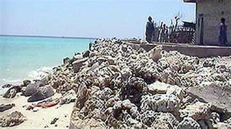 Abrasi Di Pulau Mandangin Mengkhawatirkan News Liputan6