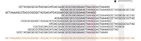 Mapping Variant Identification Cmmb 413 Flashcards Quizlet