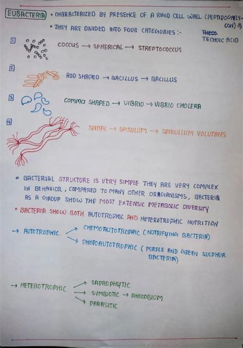 Biological Classification Notes