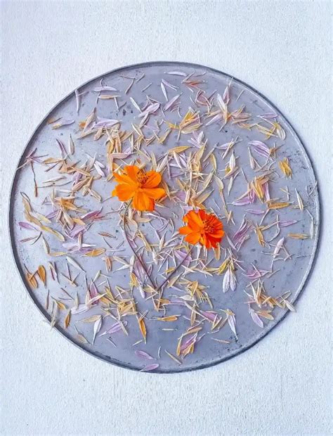 Radial Balance Photography Capturing Symmetry And Flow Photo Vibes