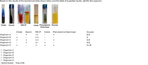 Solved Based On The Results Of The Biochemical Tests Shown Chegg