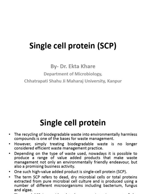 Single Cell Protein Scp Pdf Yeast Fermentation