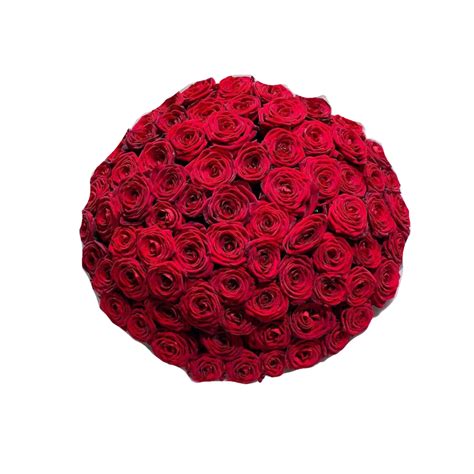 Sexy Red Roses Eem John Florals