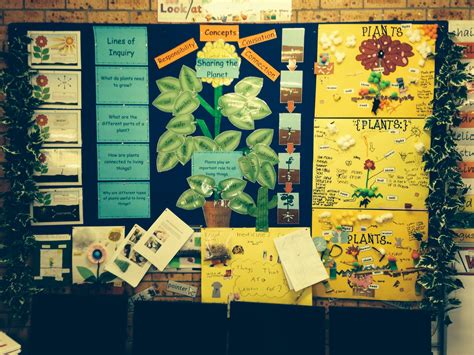 Purposeful Plants UOI Display Grade Plants Unit Ib Pyp Classroom Inquiry Learning