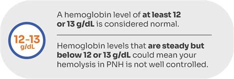 Understanding Paroxysmal Nocturnal Hemoglobinuria
