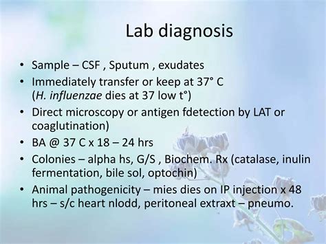 Streptococcus Ppt