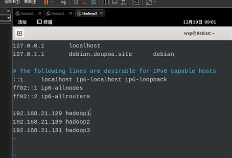 个人电脑搭建hadoop完全分布式集群在自己的电脑上搭建完全分布式集群1配置好历史服务器。2在集群上运行job Csdn博客