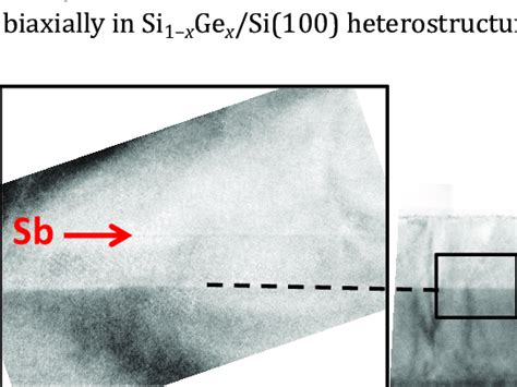 18 A Schema Of The Complete Structures Fabricated For The Segregation
