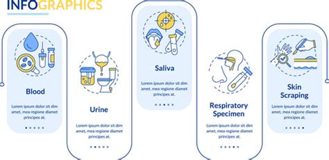 Lab Specimens Infographic Template Royalty Free Vector Image