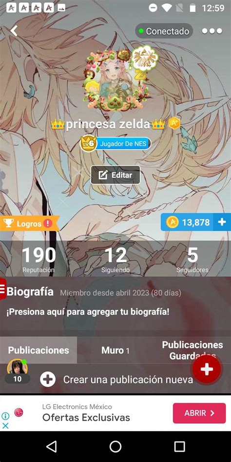 ᴘᴇʀғɪʟ ɴᴜᴇᴠɪ Zelda Amino En Español Amino