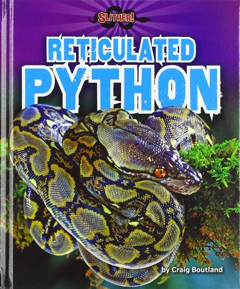 Reticulated Python Buy Online At Best Price In Ksa Souq Is Now