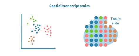 Single Cell Analysis Pinnacle Genomics