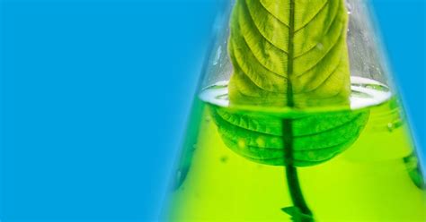 Submission Information