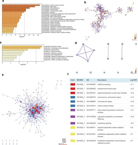 Enrichment Analysis Of Genes With Similar Expression To E2fs In Download Scientific Diagram