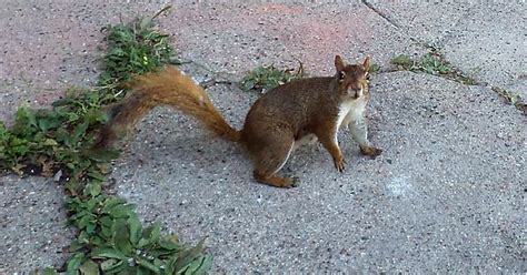 My Supervisor Imgur My Supervisor Imgur