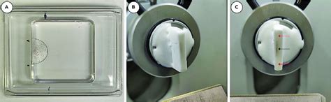 Embedding Of Membrane And Mounting Of Block Download Scientific Diagram