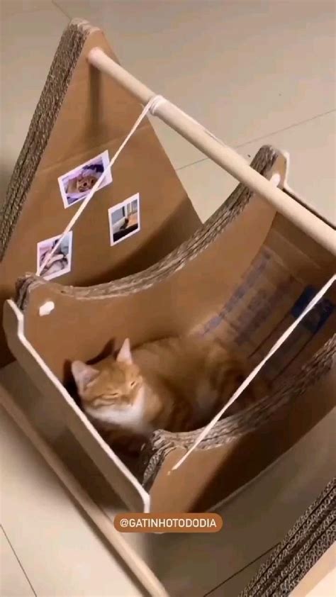 Кровати для кошек и игрушки для питомцев Diy проекты