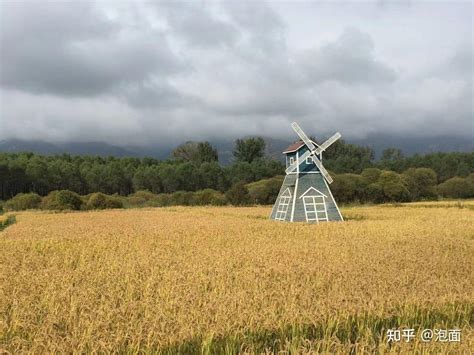 不是只有远方的才叫风景 知乎