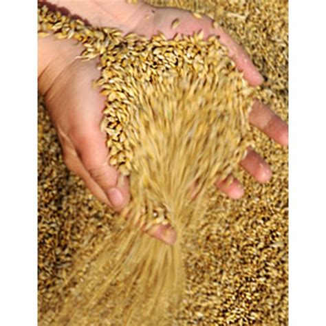 Конкуренция на световния зърнен пазар Български Фермер