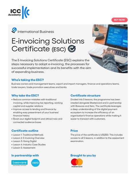 Esc Certificate Flyer E Invoicing Solutions Certificate Pdf Master