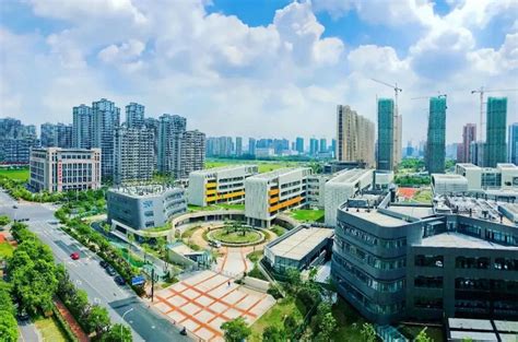最长落户年限超4年！杭城这些公办小学“一表生”爆表 小学教育 杭州19楼