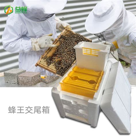 厂家直销单层泡沫蜂箱亚马逊热销跨境蜜蜂交尾箱养蜂工具配育王箱 阿里巴巴