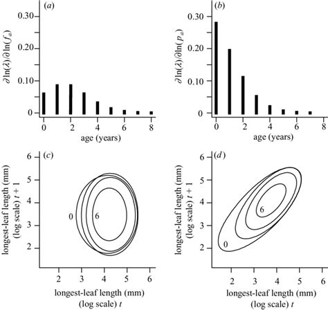 Elasticity Analysis For The Kernel Component Functions Elasticity