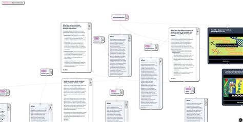 Macromolecules Concept Map Concept Map Heuristica