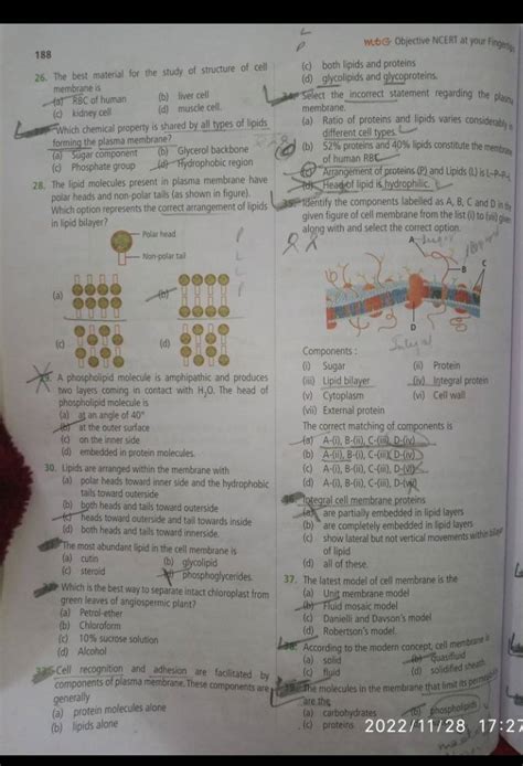 Components Ii Protein I Sugar Iii Lipid Bilayer Iv Integral Pro