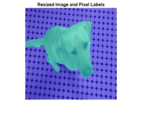 Augment Pixel Labels For Semantic Segmentation MATLAB Simulink