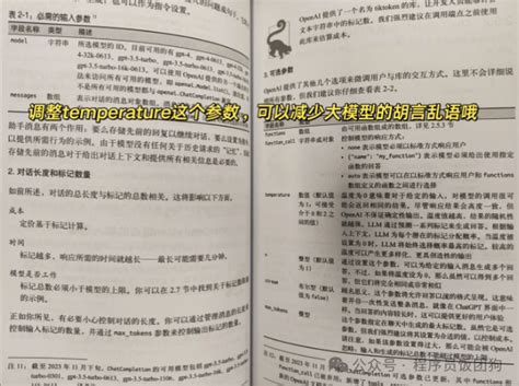 《大模型应用开发极简入门》学习成为善用 ai 的人！看完懂得90 的大模型！{含pdf版电子书} 大模型应用开发极简入门 pdf csdn博客