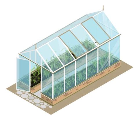 Best Greenhouse Illustrations Royalty Free Vector Graphics And Clip Art