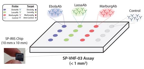 Real Time And Label Free Detection Of Single Viruses In Complex Solutions
