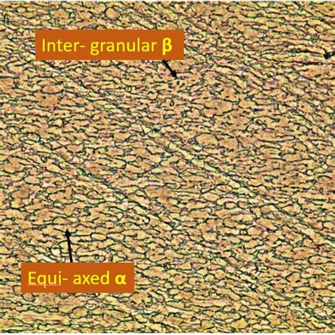 The Microstructure Of Bm Ti6al4v Titanium Alloy Download Scientific Diagram