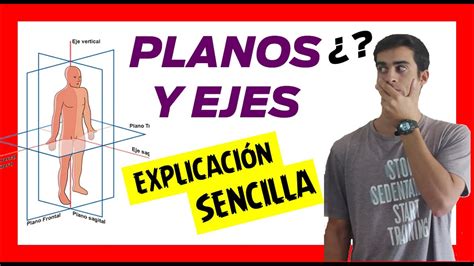 👌 Planos Y Ejes Del Cuerpo Humano Y Sus Movimientos FÁcil Y Sencillo