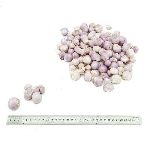 หอมแดงปอกเปลือก ขนาด 140 150 หัว กก คัดสวย Freshket สั่งวัตถุดิบออนไลน์