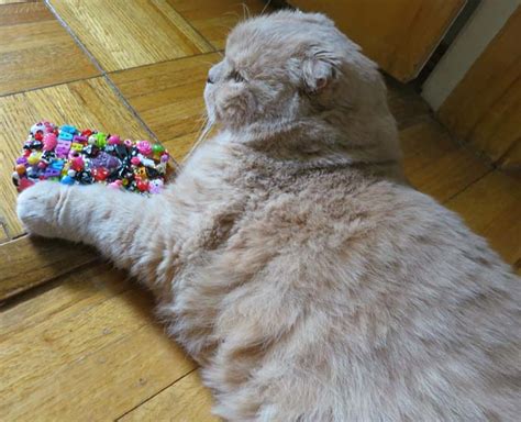 Luxy Loli Kawaii Cute Japanese Iphone Cases Jeremy Scott Smart Car At Tokyo Fashion Week La