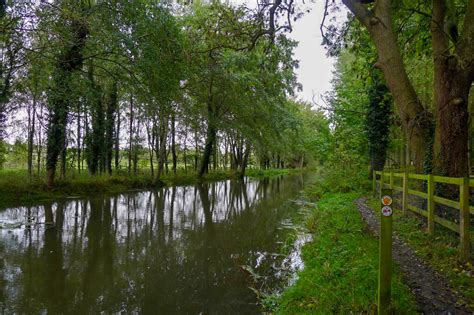 Colne Essex Rivers Hub